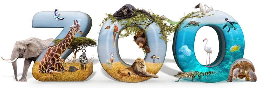 Comment visiter le zoo de Lyon en famille